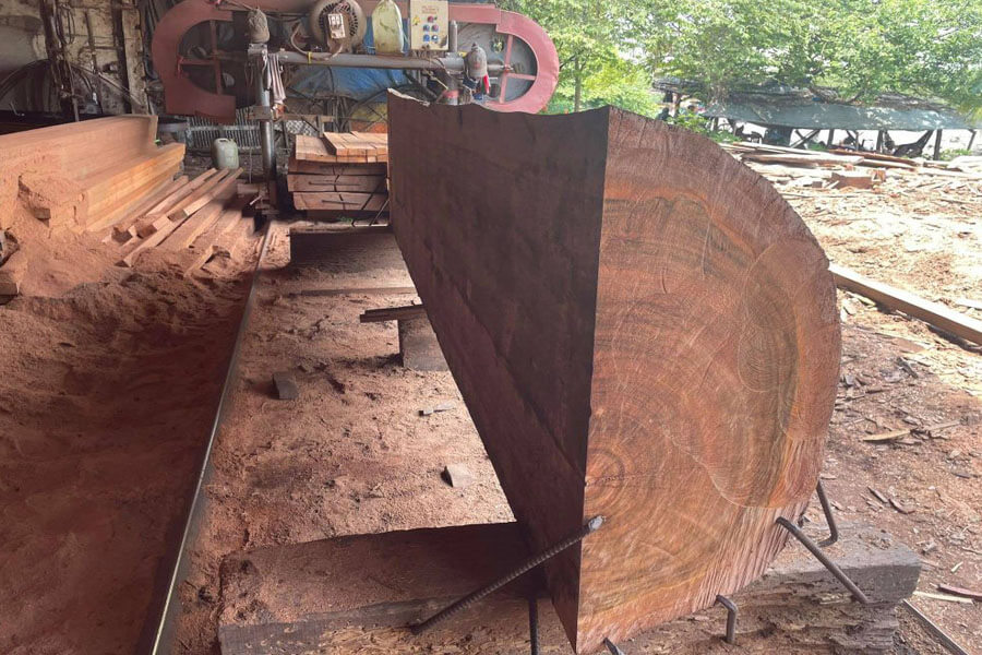 Gỗ dầu là gì? Giá gỗ dầu bao nhiêu một khối?